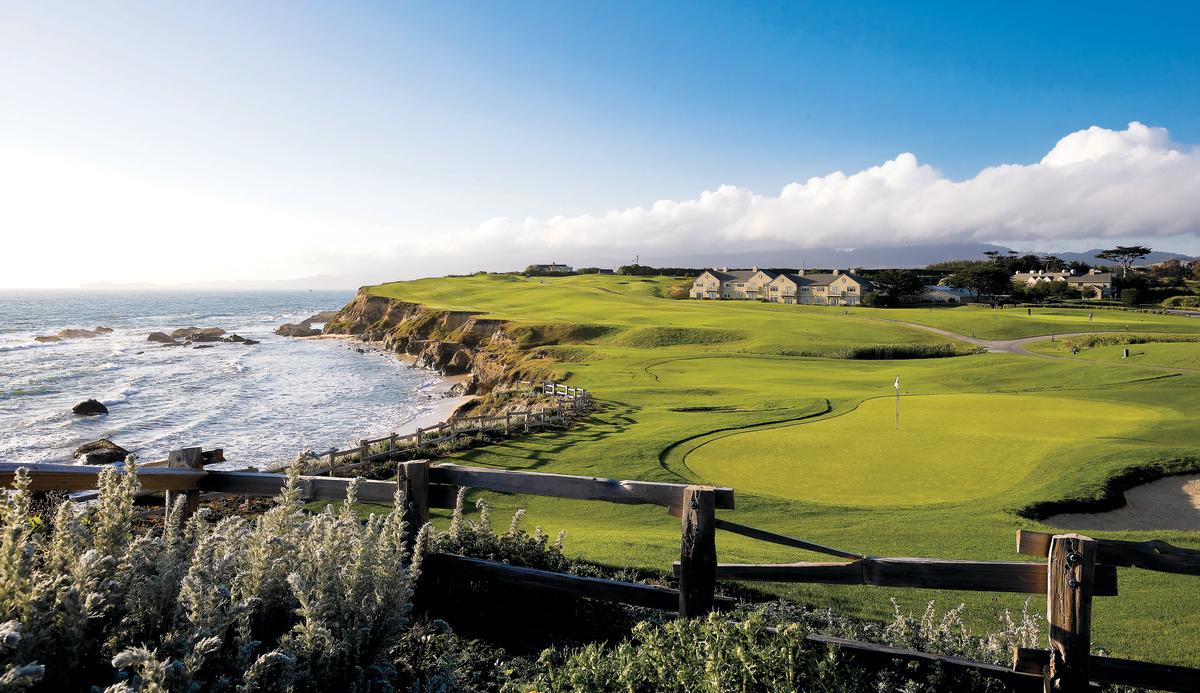 Dog Friendly Beaches in Half Moon Bay – Best Spots for Pups – Whisker Bark